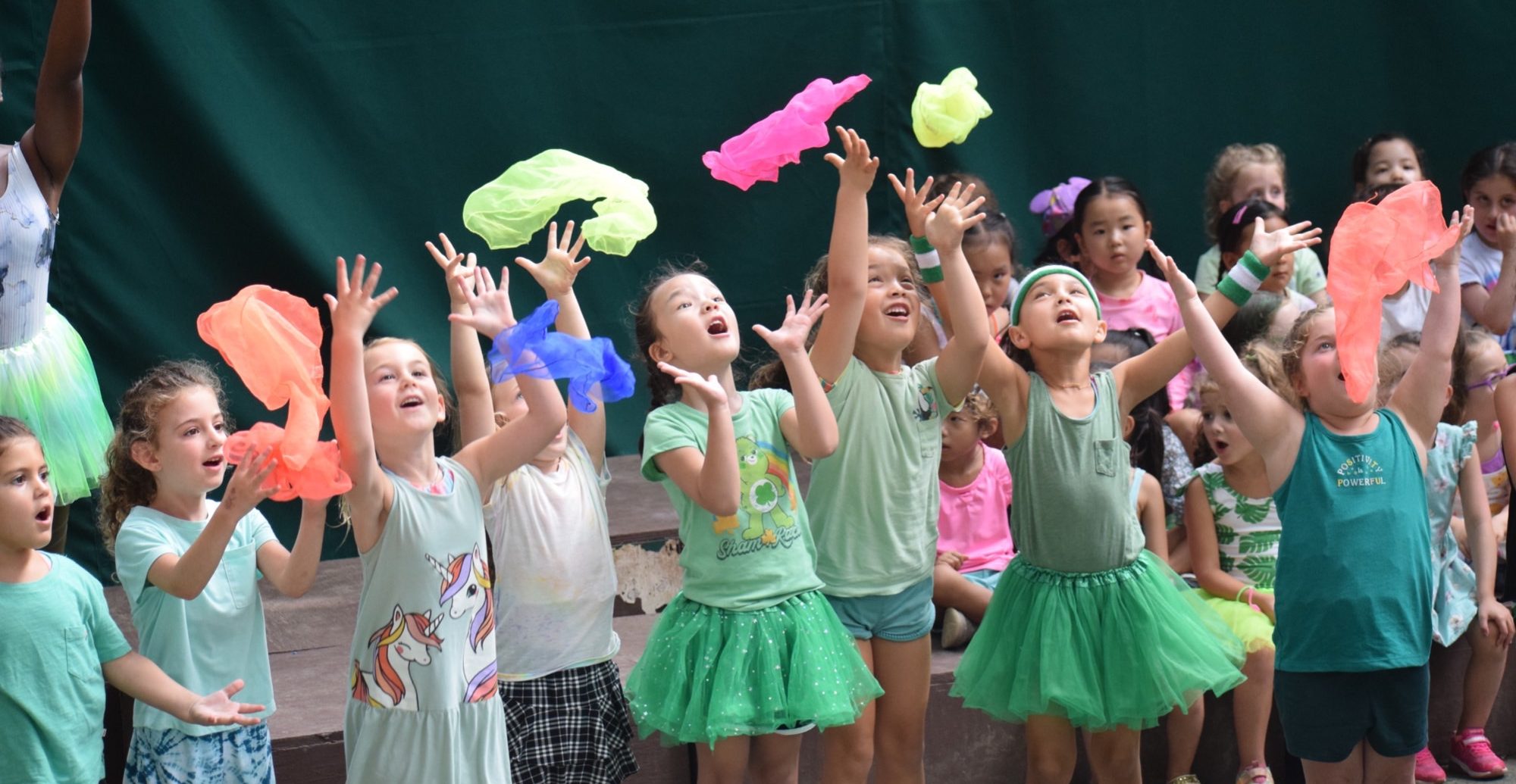 Google Reviews - Shibley Day Camp