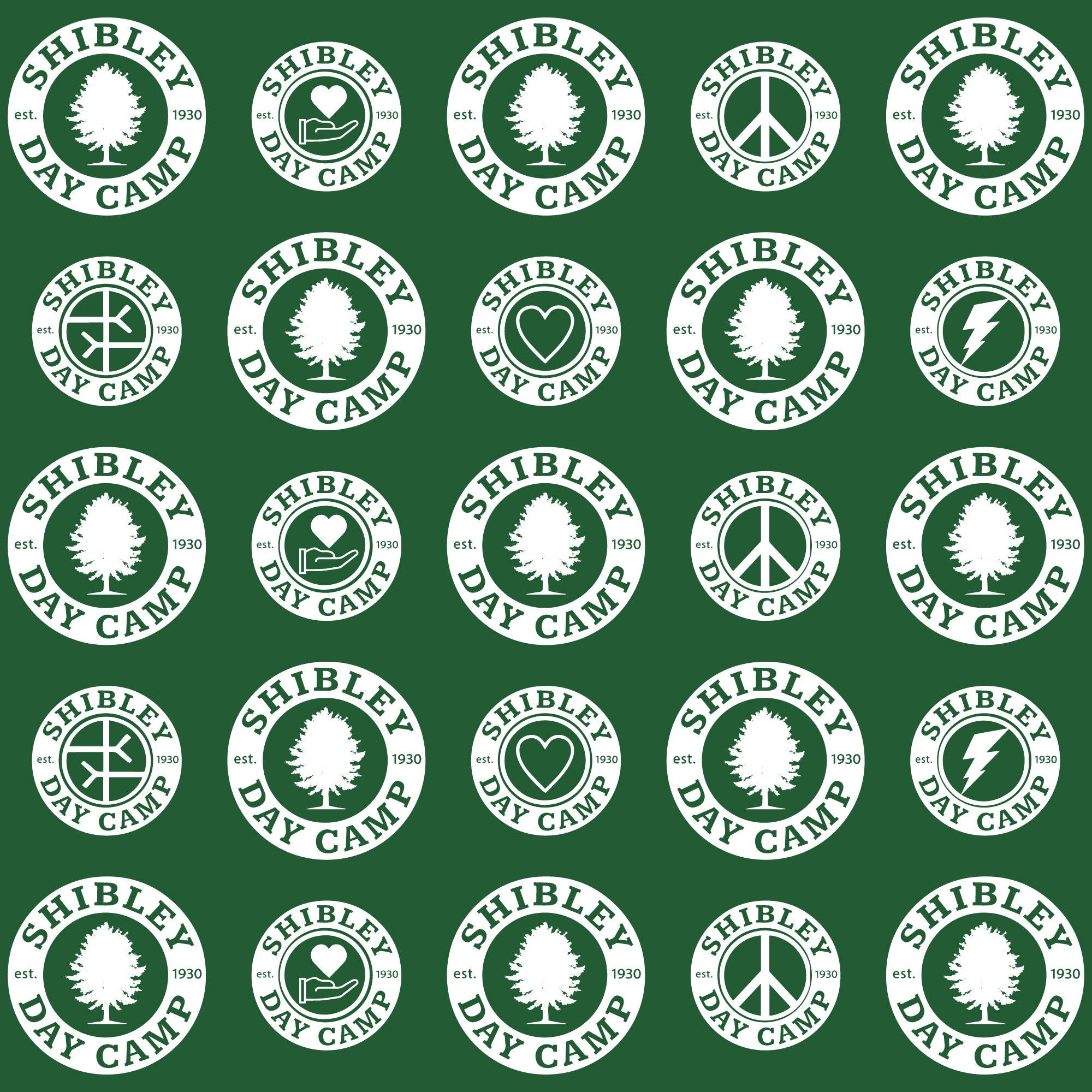 Hey Chat GPT...Why should children go to camp? - Shibley Day Camp