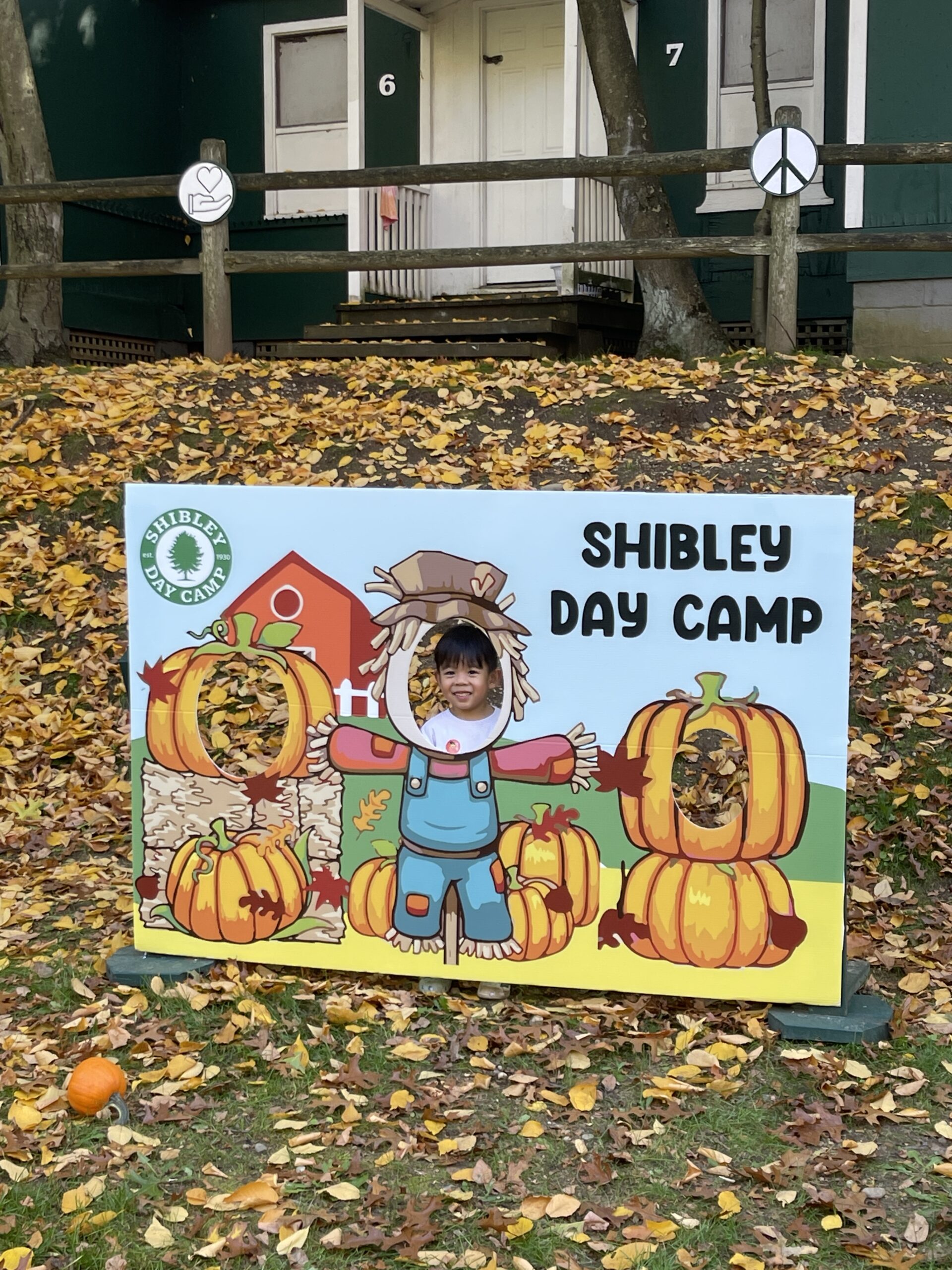 Why We Shibley Shibley All Year Long - Shibley Day Camp